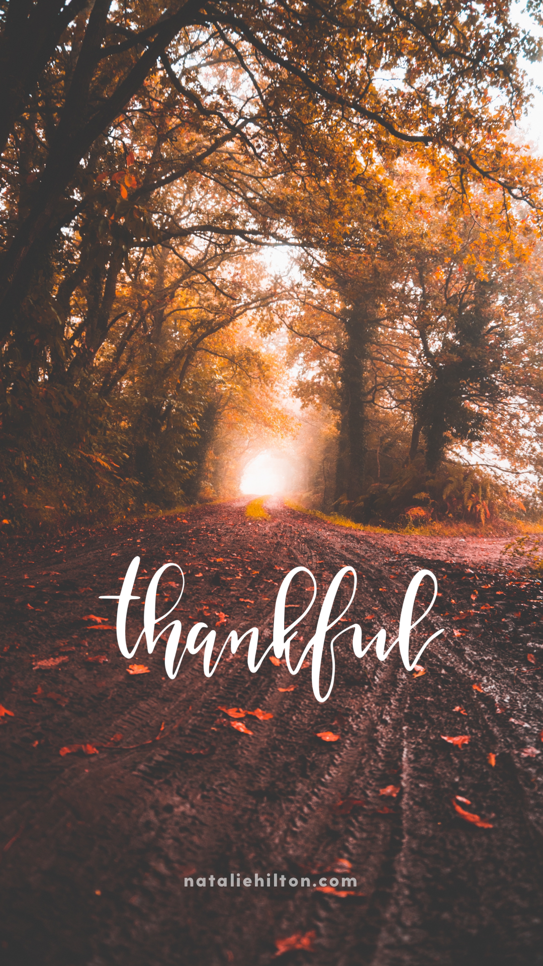 Fall Lock Screens for Your Phone - Natalie Hilton